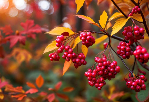 WaveAI - Advanced AI Photo Editor